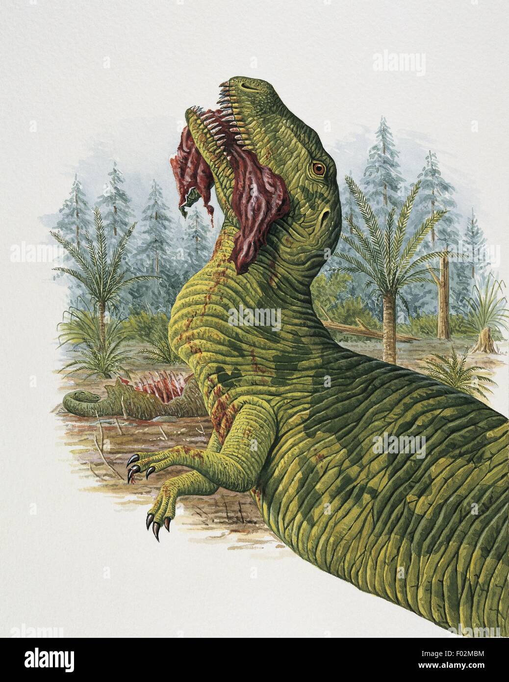 Palaeozoology - Jurassic Period - Dinosaur - Eustreptospondylus ...