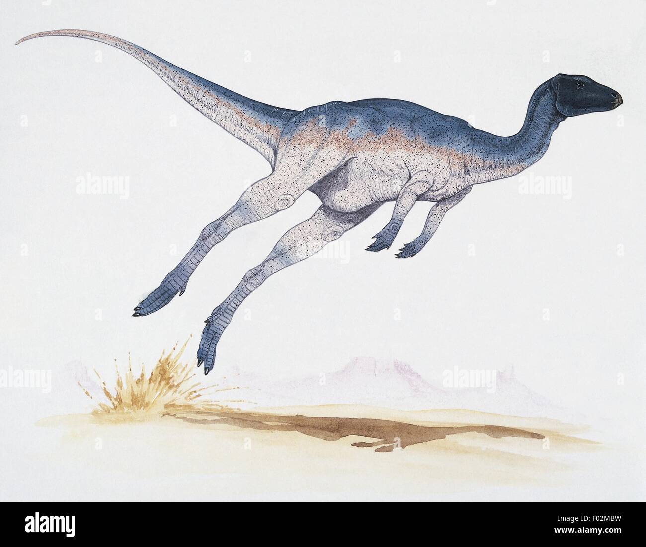 Zephyrosaurus