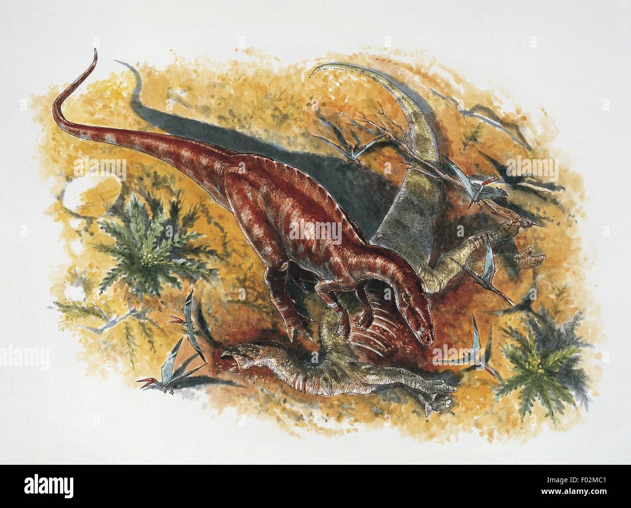 Palaeozoology - Cretaceous Period - Dinosaurs - Becklespinax (art work ...