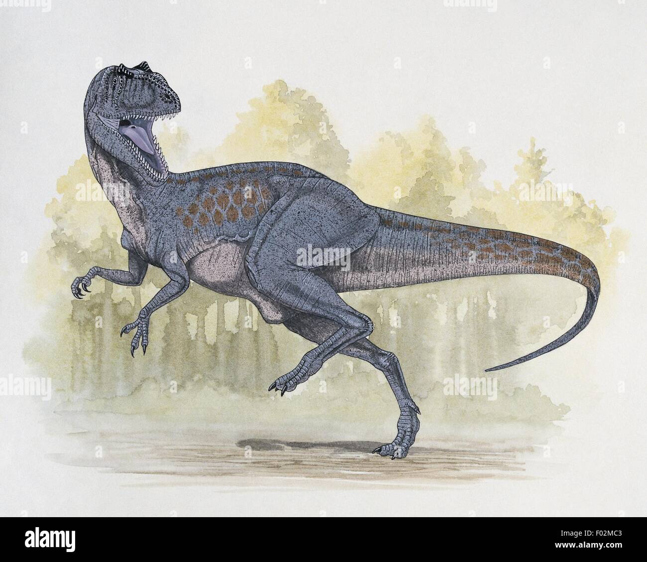 Palaeozoology - Cretaceous Period - Dinosaurs - Chilantaisaurus (art ...