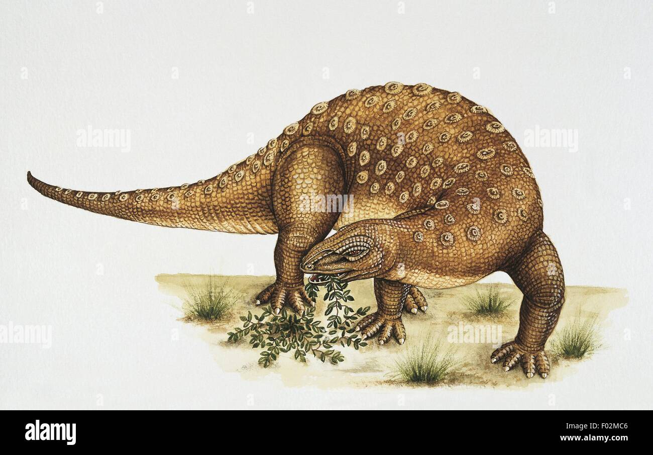 Palaeozoology - Cretaceous Period - Dinosaurs - Minmi (art work by ...