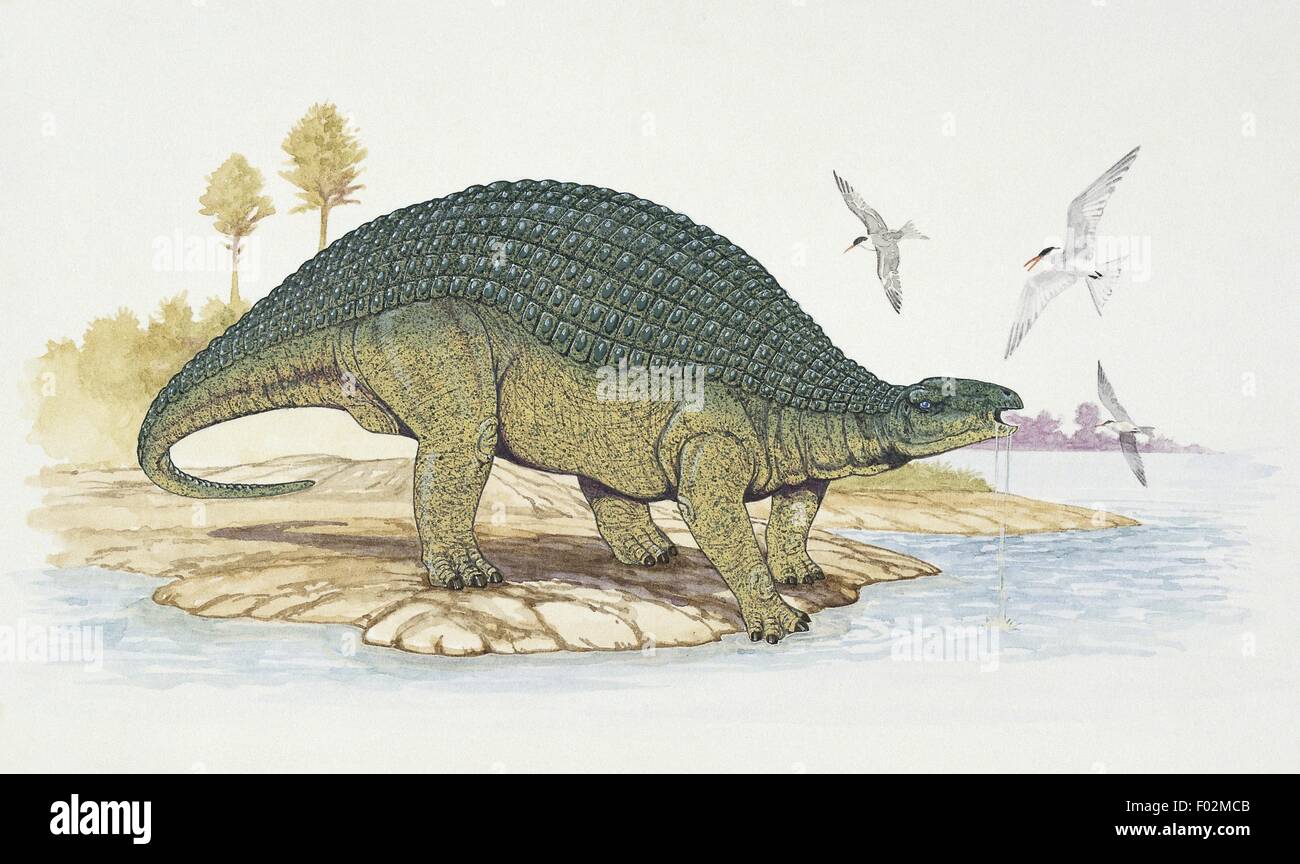 Palaeozoology - Cretaceous Period - Dinosaurs - Nodosaurus (art work by ...