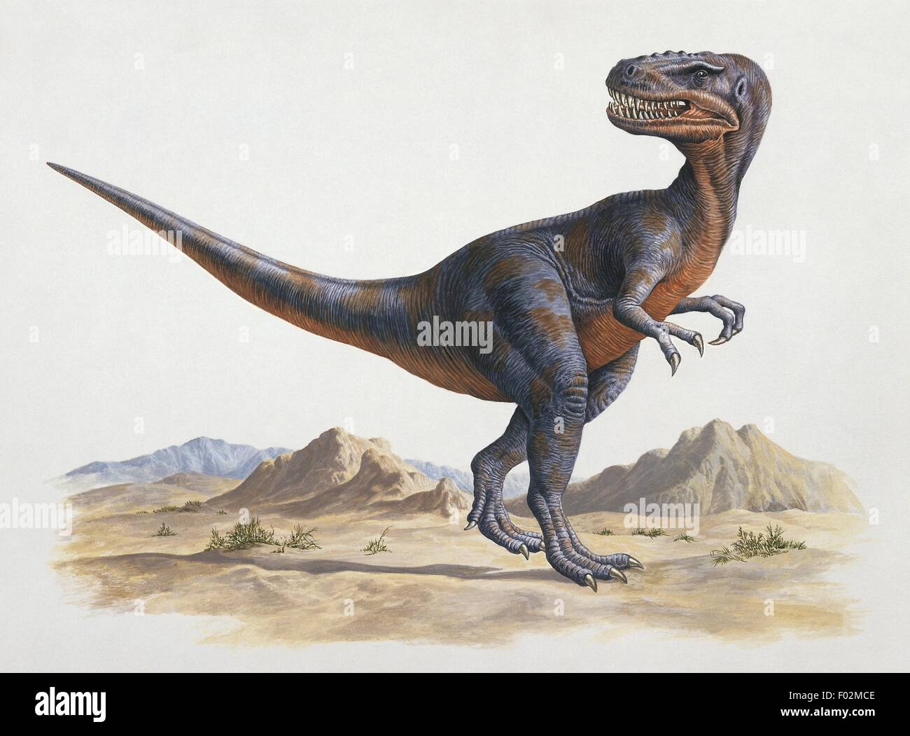 Palaeozoology - Cretaceous Period - Dinosaurs - Alectrosaurus (art work ...
