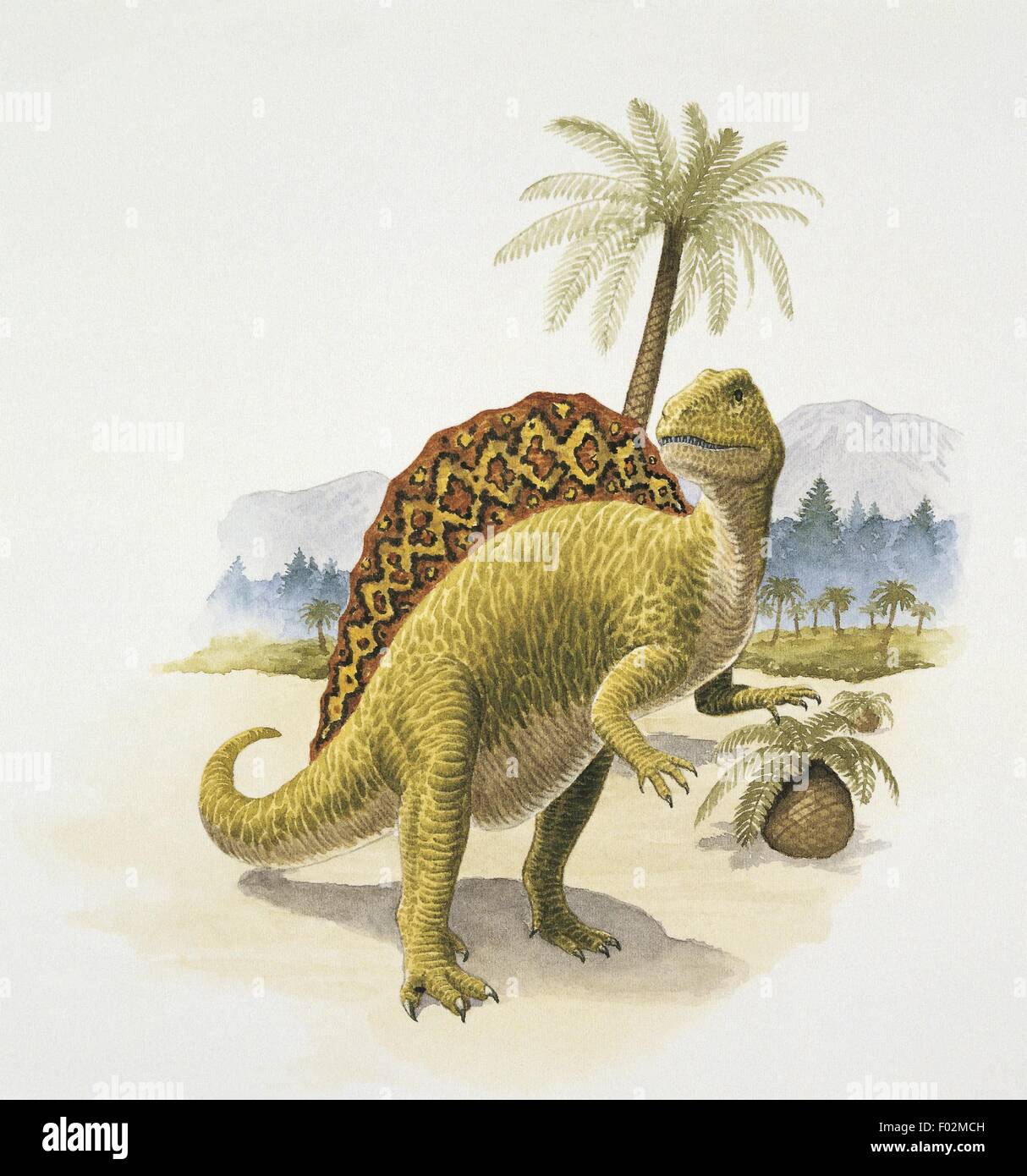 Palaeozoology - Cretaceous Period - Dinosaurs - Spinosaurus (art work ...
