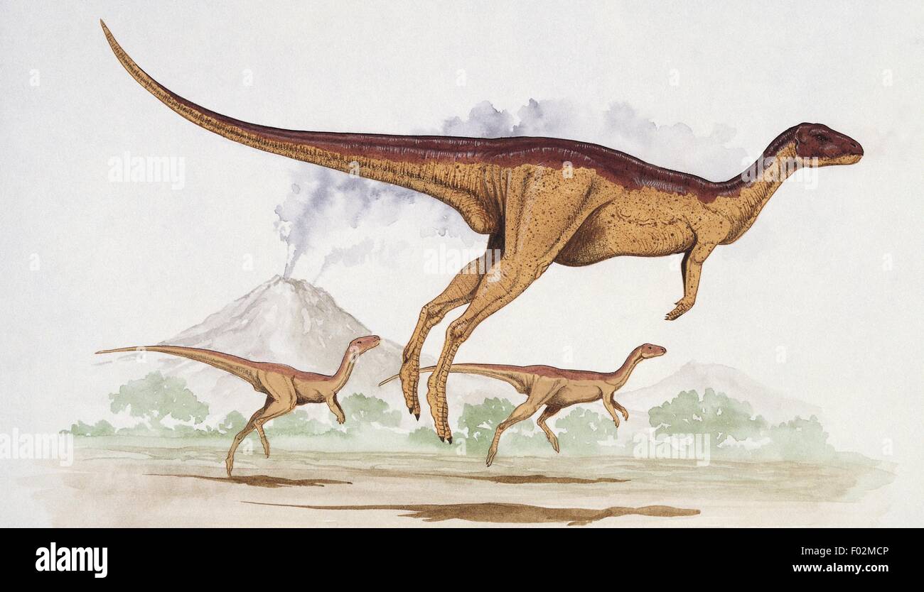 Palaeozoology - Cretaceous Period - Dinosaurs - Fulgurotherium (art ...