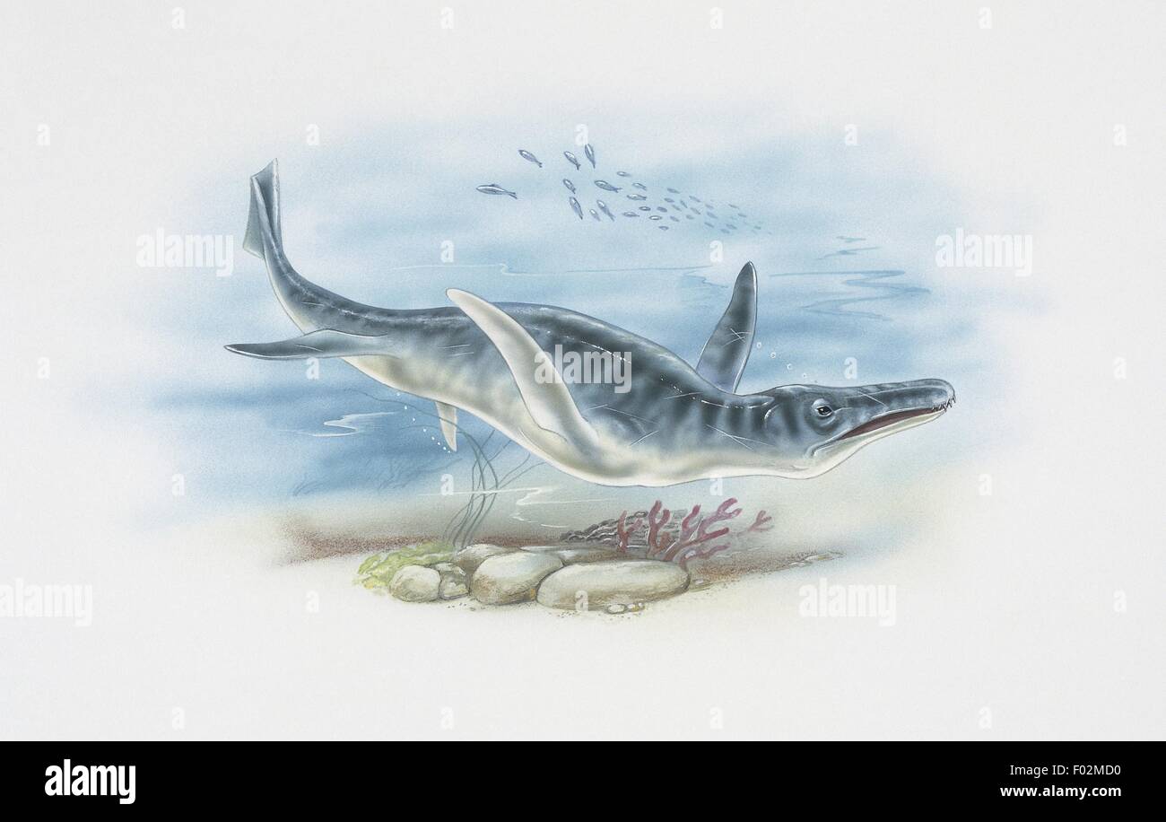 Palaeozoology - Cretaceous Period - Liopleurodon(art work by Robin ...