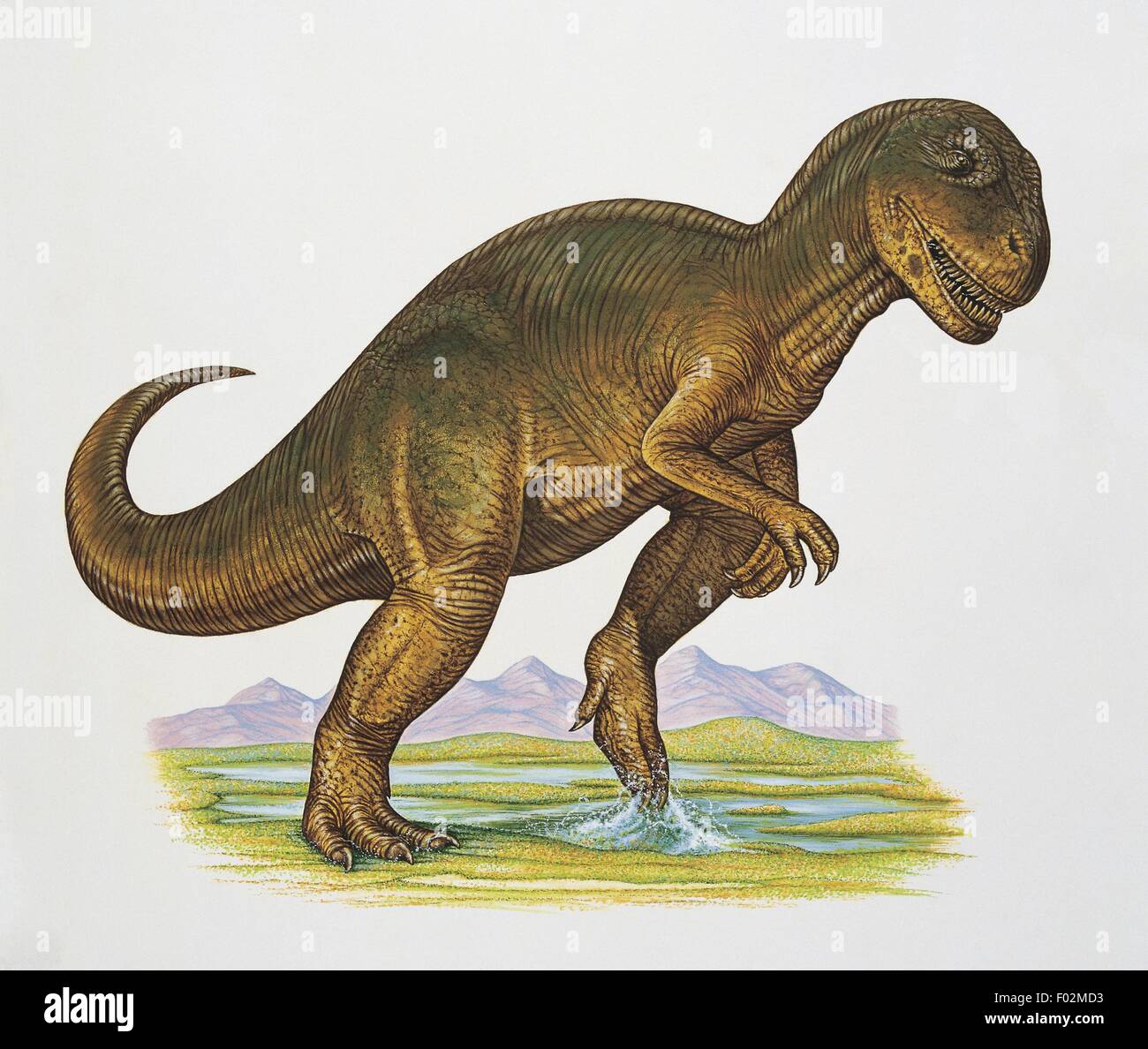 Palaeozoology - Jurassic Period - Dinosaurs - Allosaurus (art work by ...