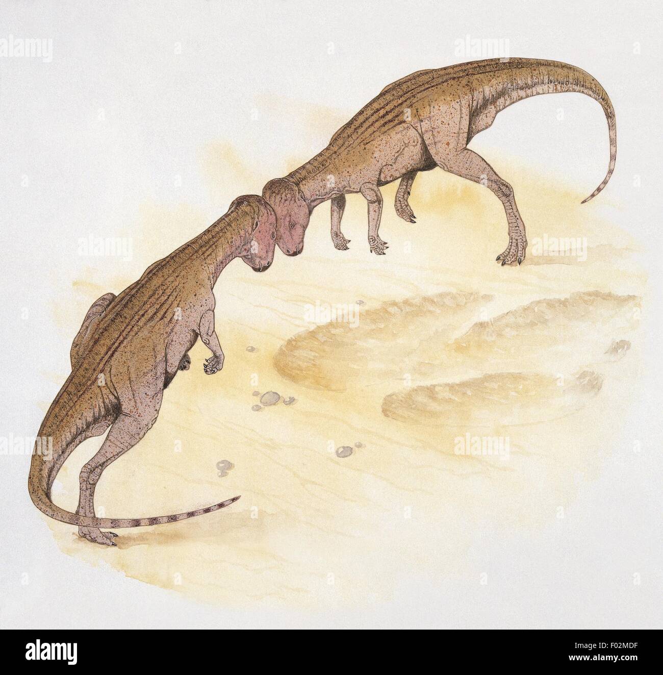 Palaeozoology - Cretaceous Period - Dinosaurs - Wannanosaurus (art work ...