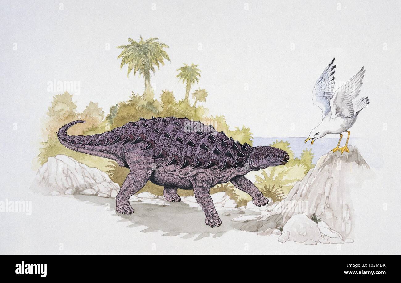 Palaeozoology - Cretaceous Period - Dinosaurs - Struthiosaurus (art ...