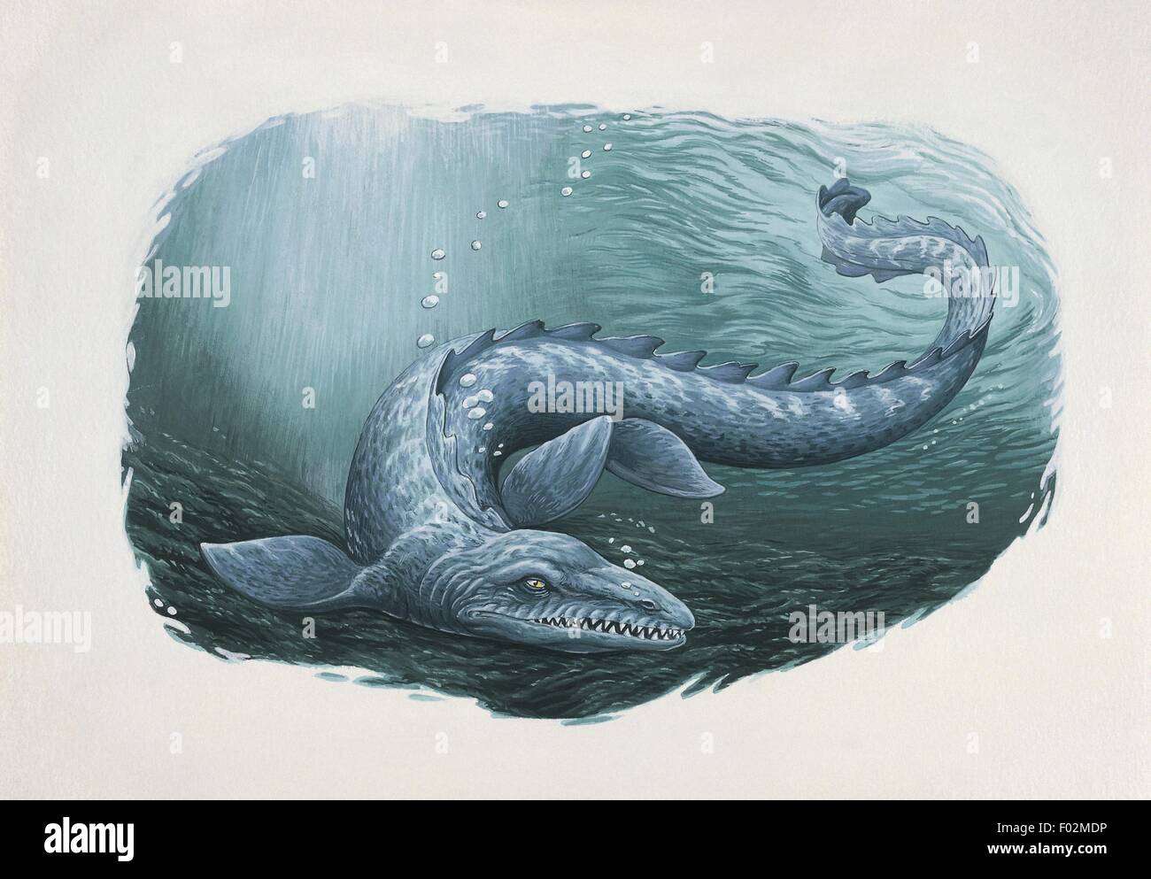 Palaeozoology - Cretaceous Period - Tylosaurus (art work by Chris ...