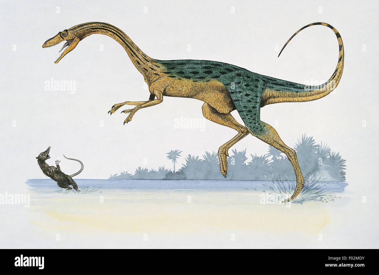 Palaeozoology - Cretaceous Period - Dinosaurs - Elmisaurus (art work by ...