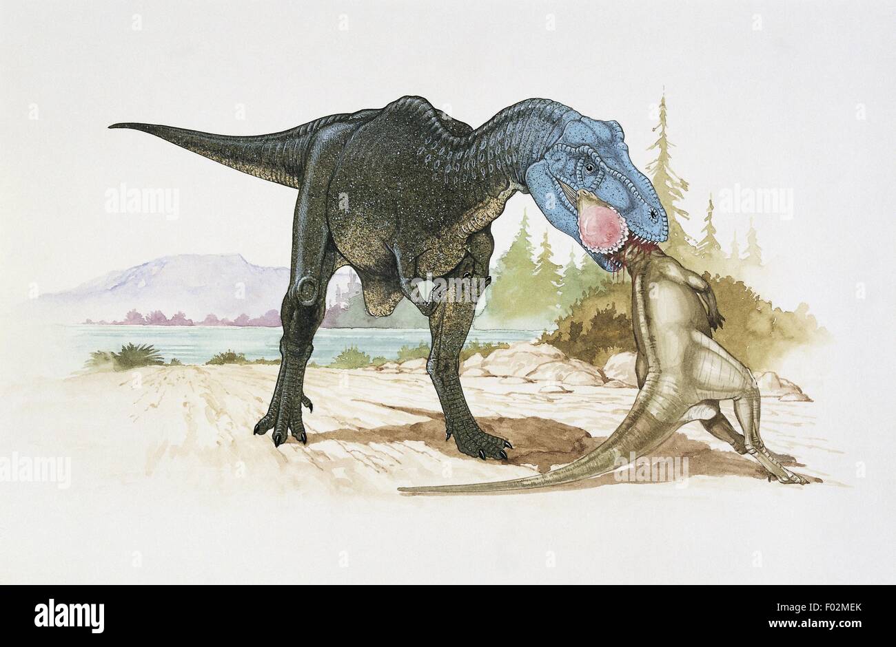 Palaeozoology - Cretaceous Period - Dinosaurs - Dryptosaurus (art work ...