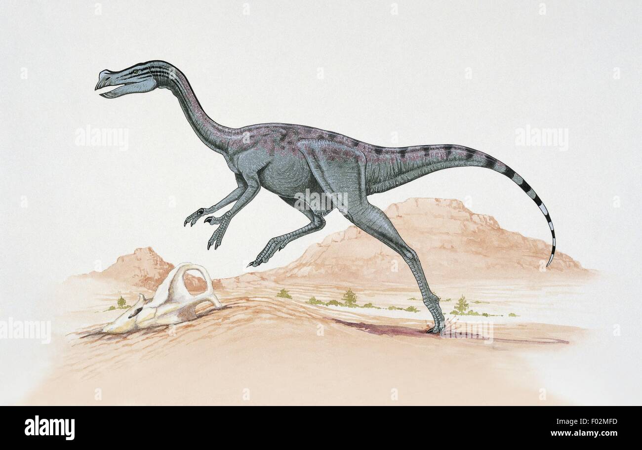 Palaeozoology - Cretaceous Period - Dinosaurs - Ingenia (art work by ...