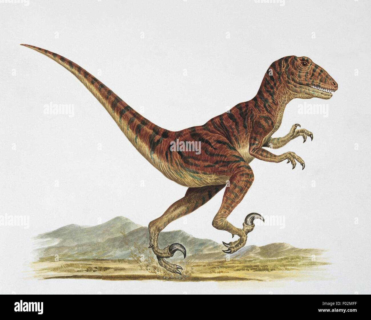 Palaeozoology - Cretaceous Period - Dinosaurs - Adasaurus (art work by ...