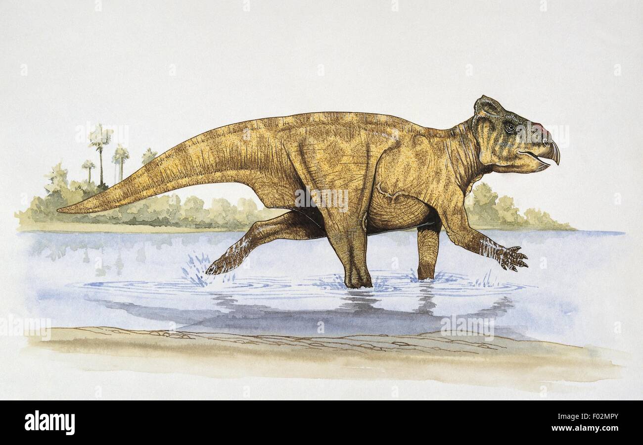 Palaeozoology - Cretaceous Period - Dinosaurs - Leptoceratops (art work ...