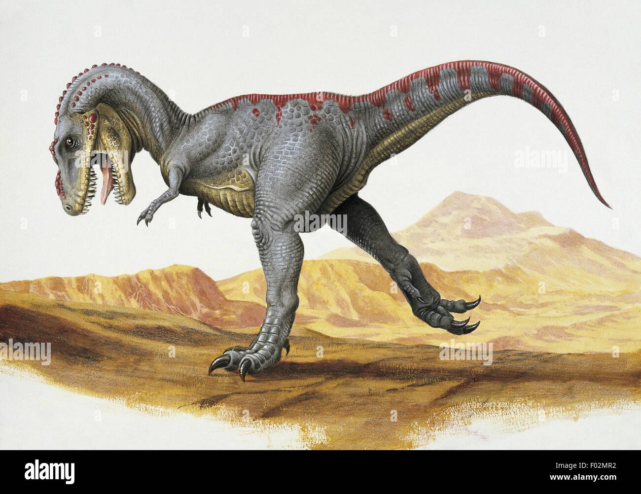 Palaeozoology - Cretaceous Period - Dinosaurs - Tarbosaurus (art work ...