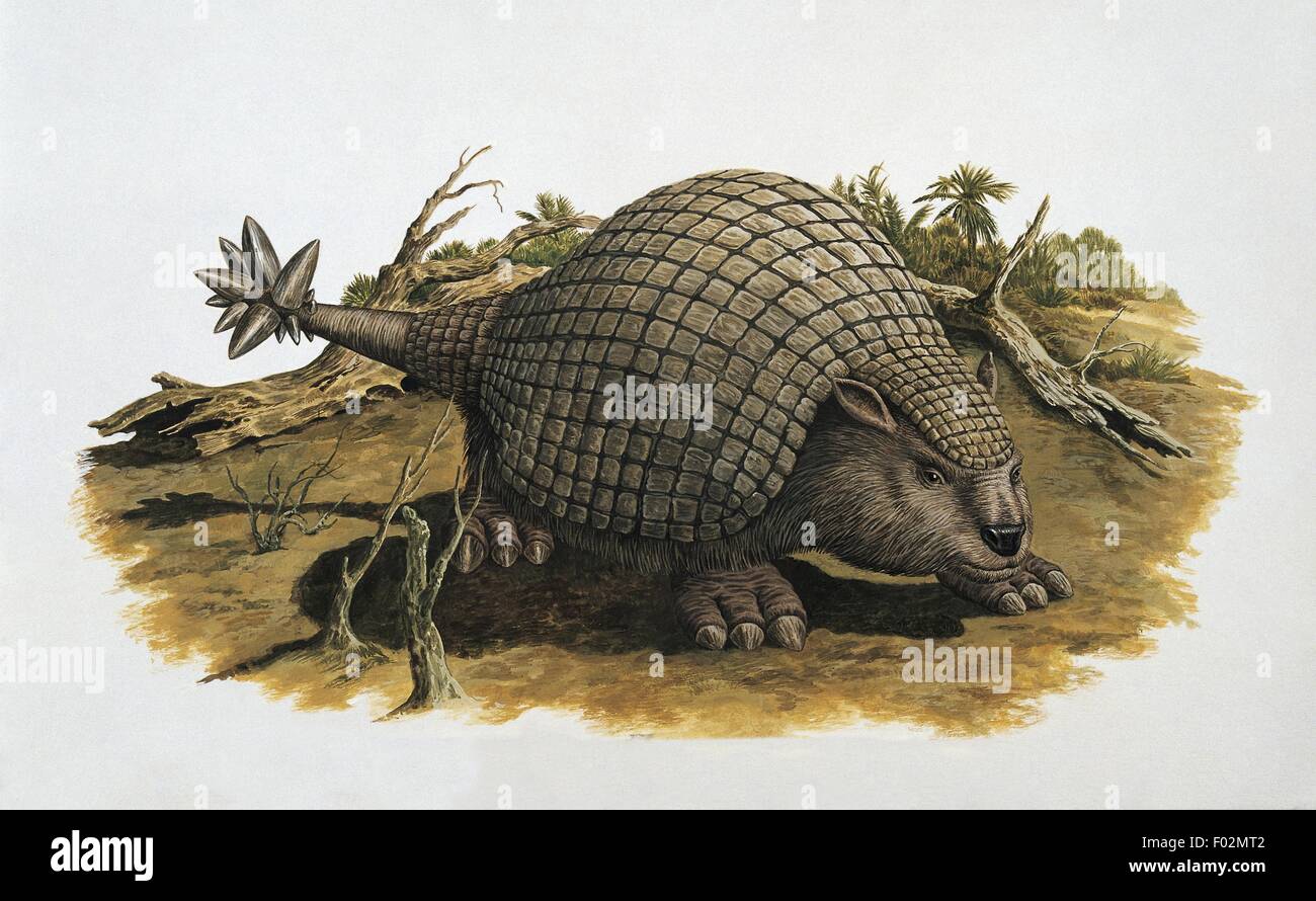 Palaeozoology - Pleistocene - Mammals - Doedicurus (art work by Philip ...