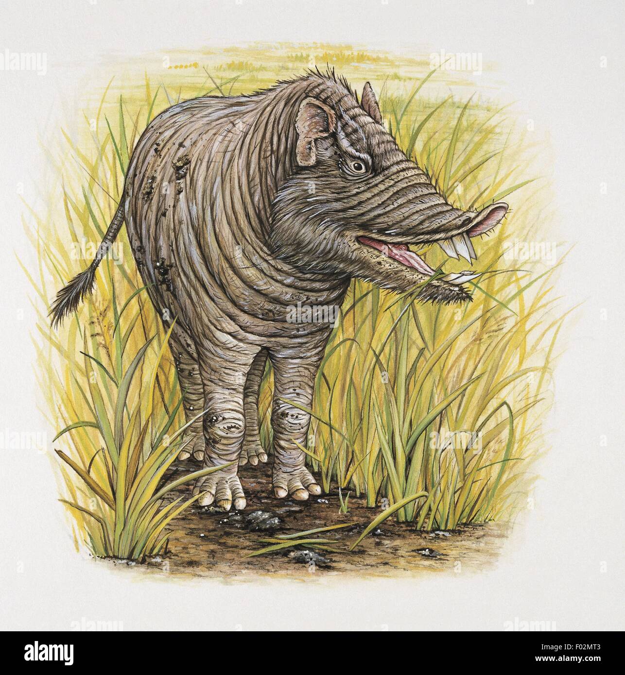 Palaeozoology - Oligocene - Pyrotherium (art work by Angela Hargreaves ...