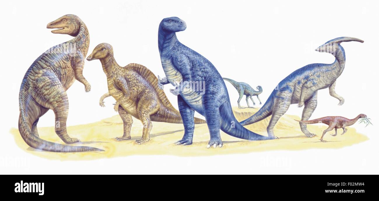 Palaeozoology - Dinosaurs - Herd of dinosaurs - Art work Stock Photo ...