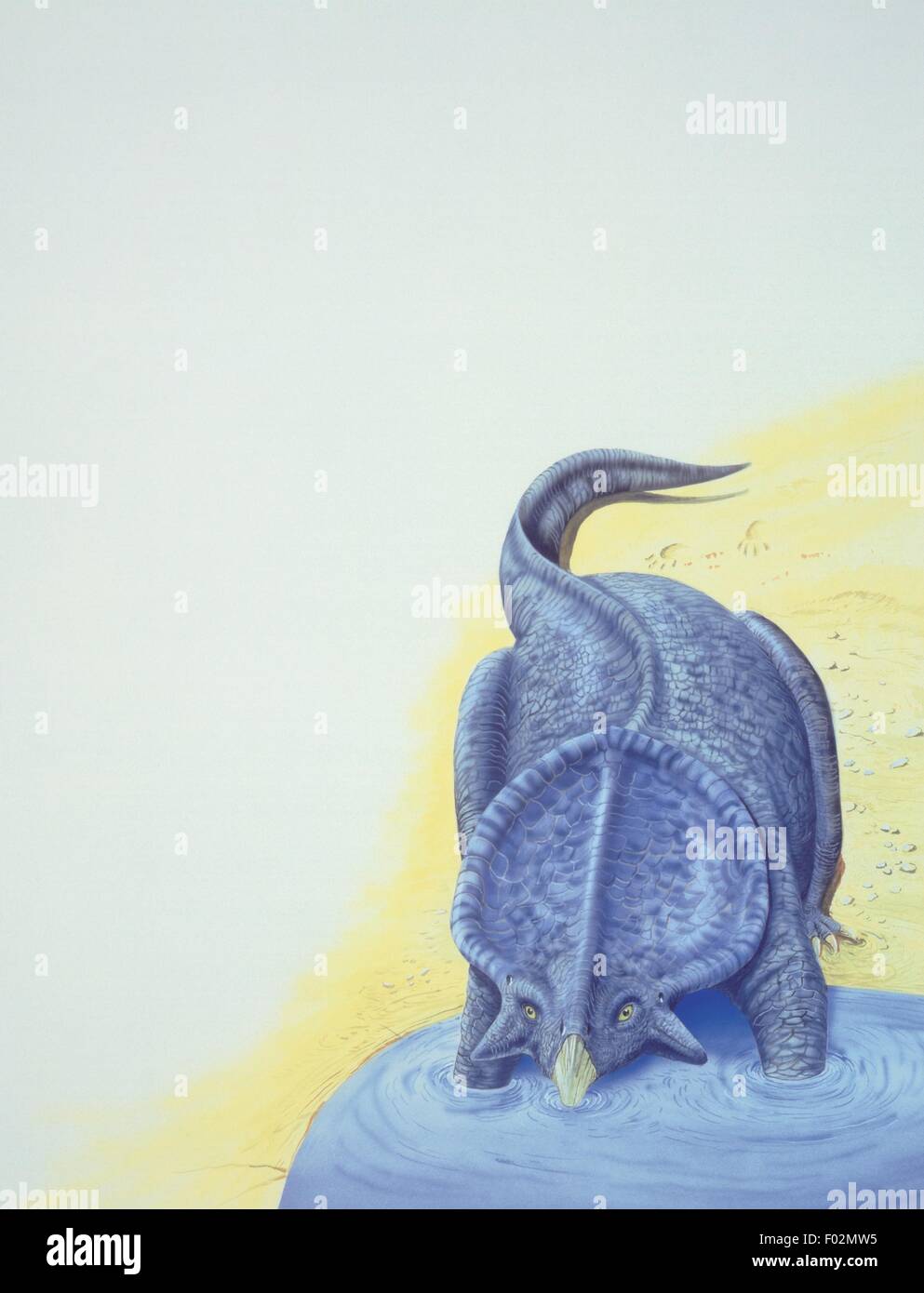 Palaeozoology - Cretaceous Period - Dinosaurs - Protoceratops. Art work ...