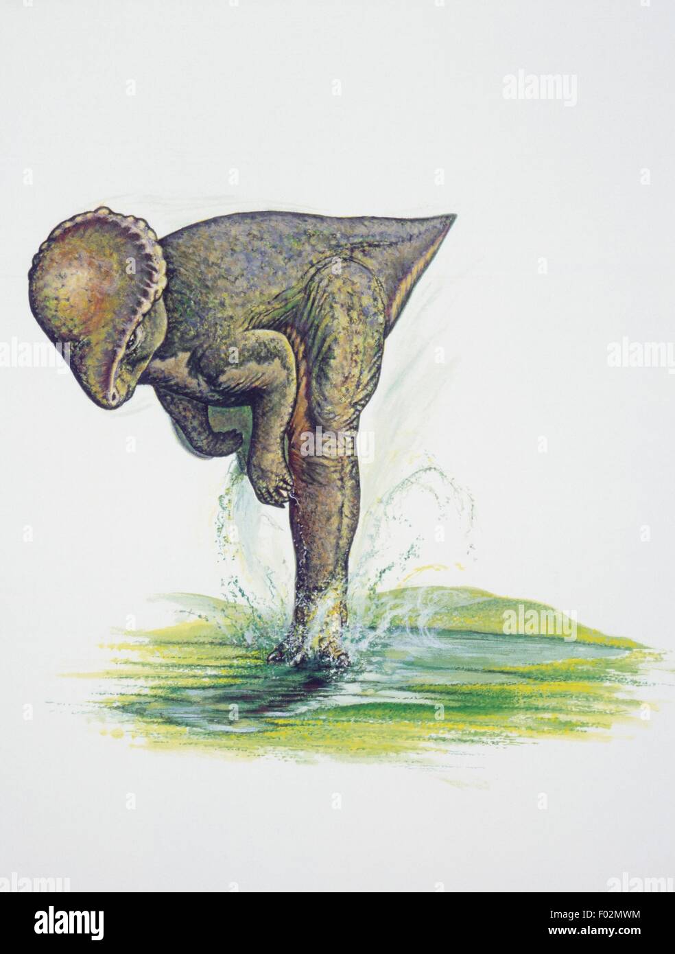 Protohistory period hi-res stock photography and images - Alamy