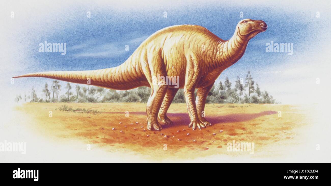 Tenontosaurus hi-res stock photography and images - Alamy