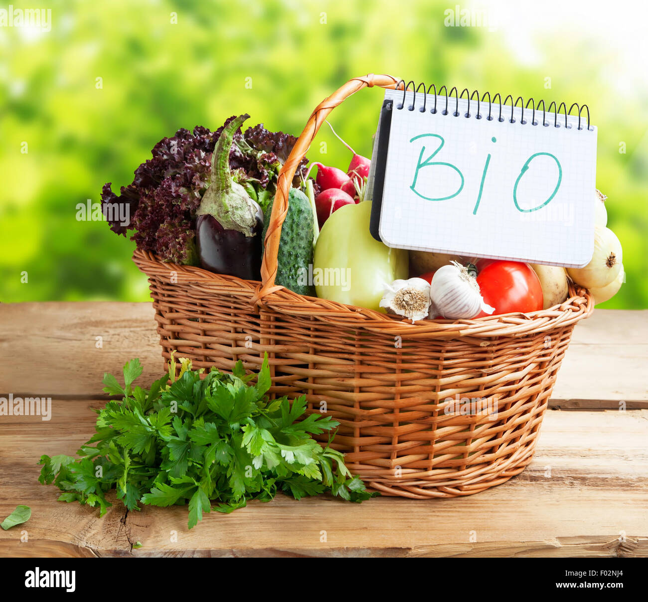 Healthy Bio Vegetables Freshly Picked from the Garden with Bio Note ...