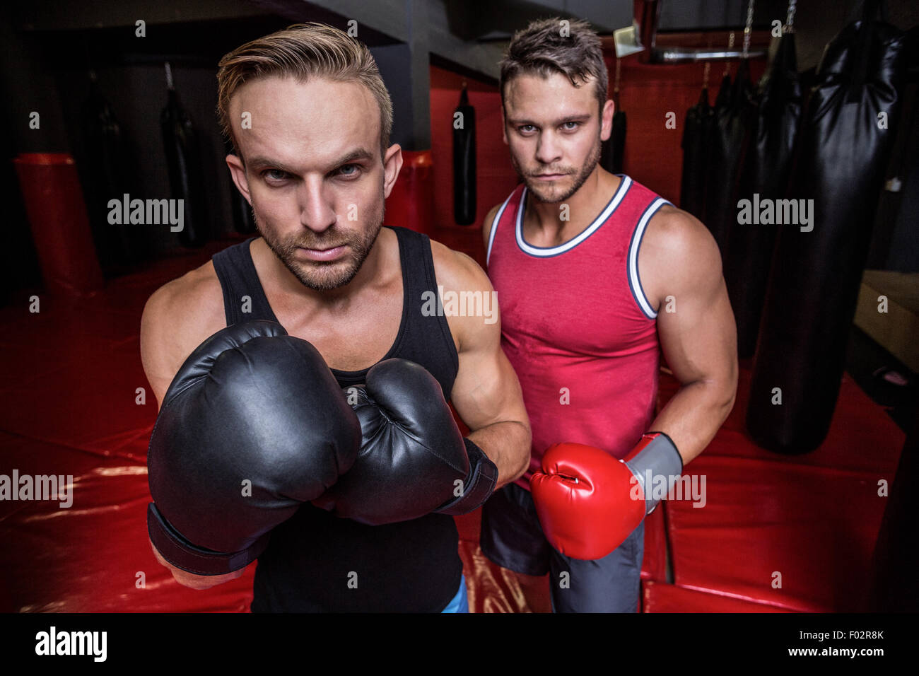 Adult man boxing camera hi-res stock photography and images - Alamy