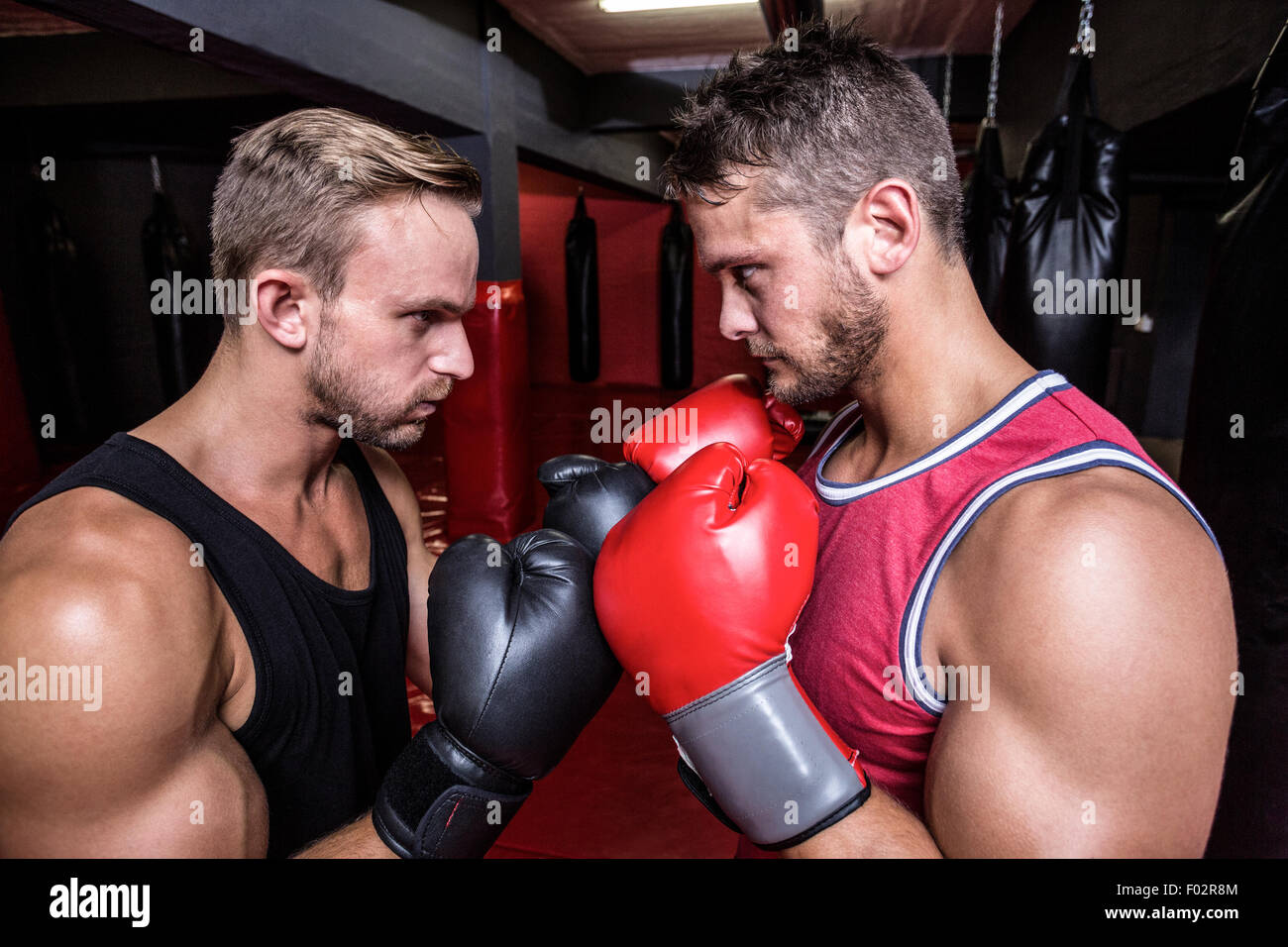 Two boxing men exercising together Stock Photo - Alamy