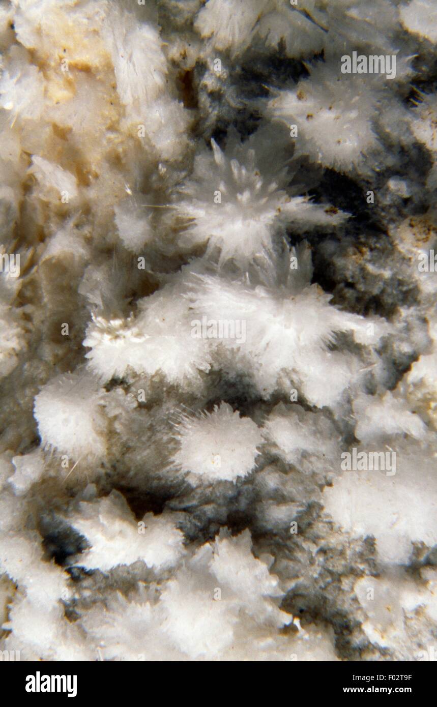 Pharmacolite hi-res stock photography and images - Alamy