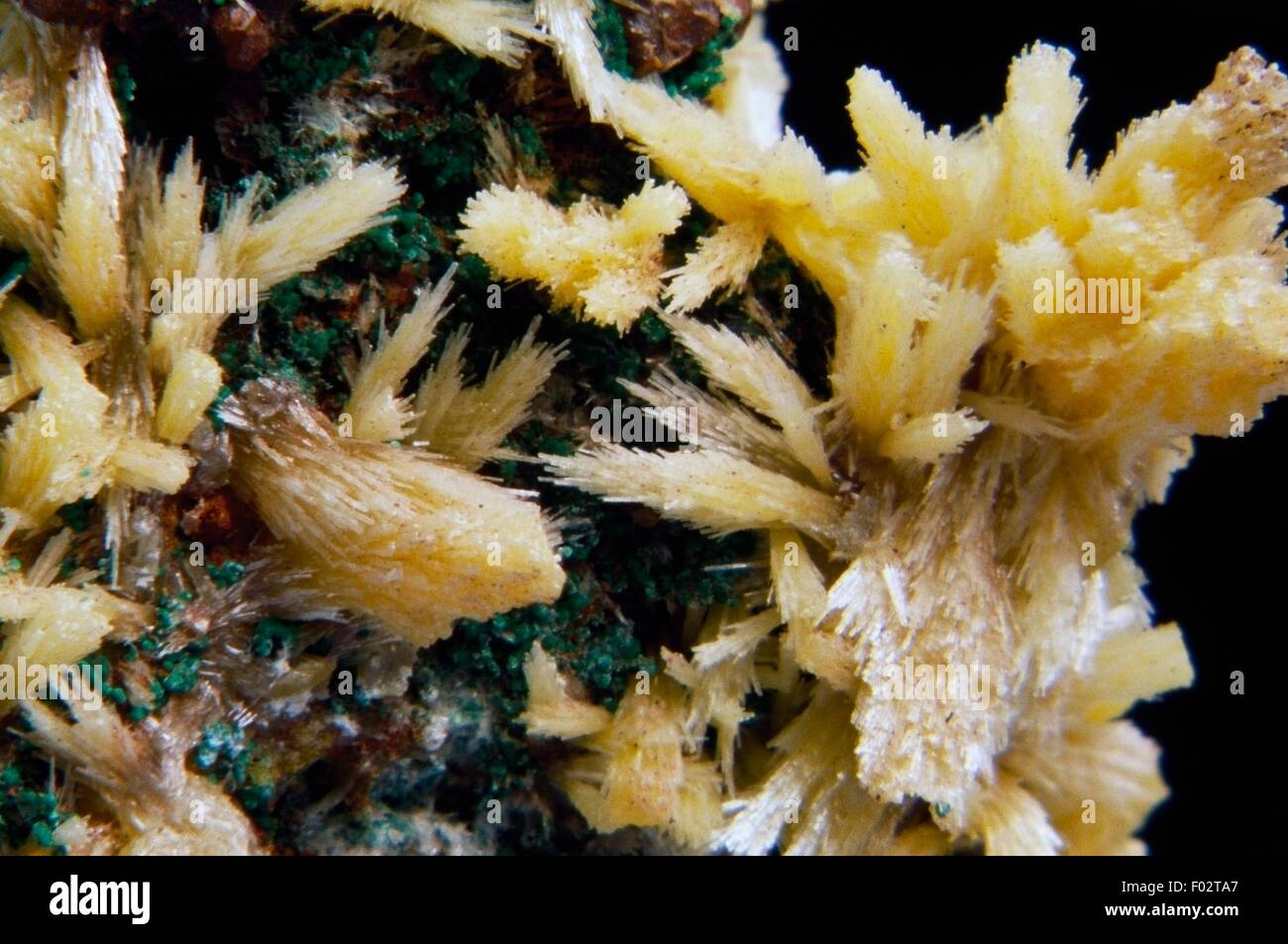 Mimetite High Resolution Stock Photography and Images - Alamy
