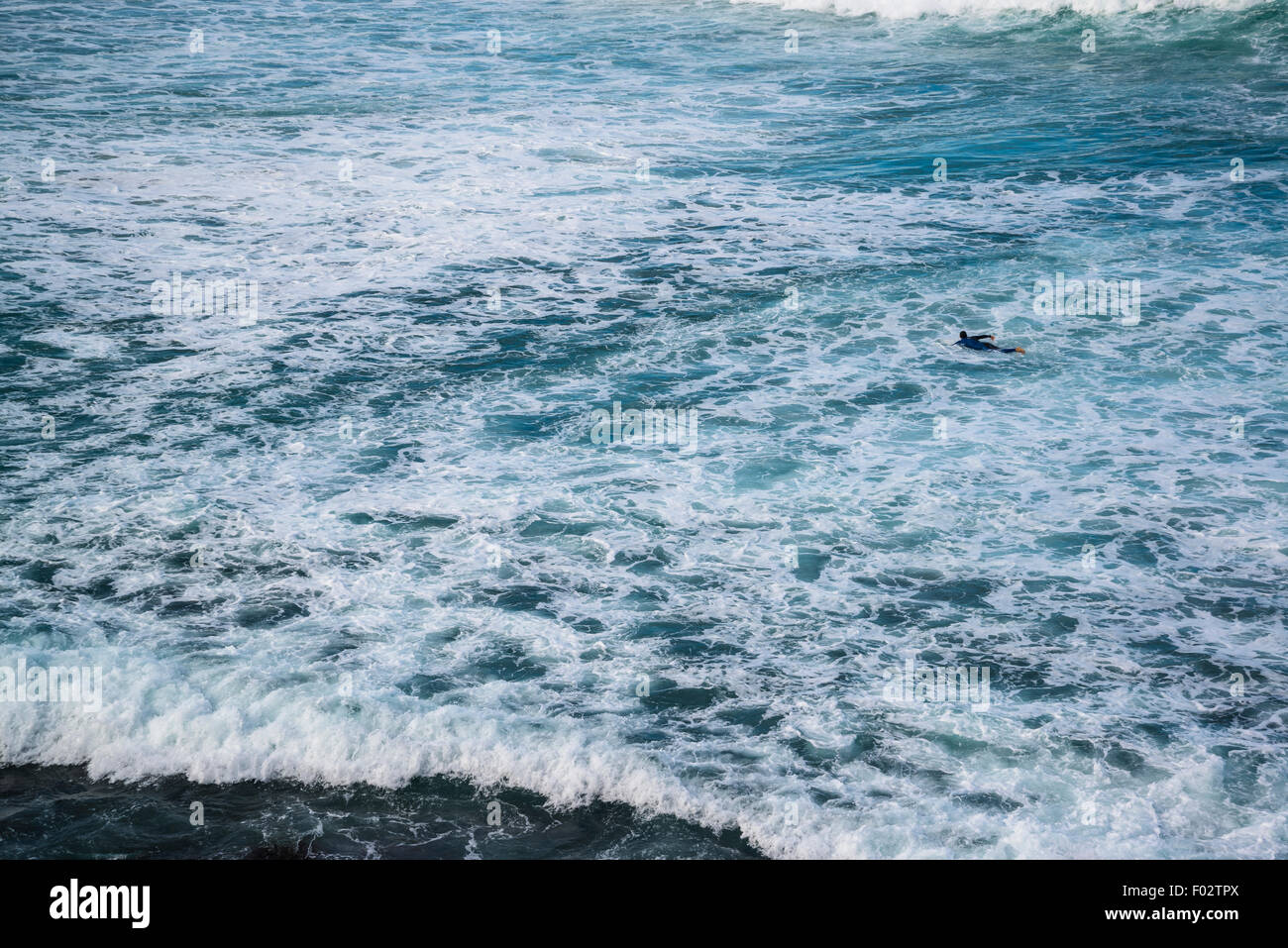 Surfer floating on his board, Bondi Beach, Sydney, Australia Stock ...