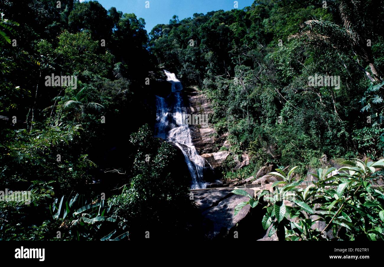 Waterfall, Tijuca National Park, Rio de Janeiro, Brazil Stock Photo - Alamy