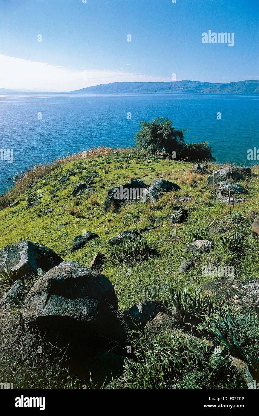 Rocks and vegetation at Lake Tiberias or the Sea of Galilee, Israel ...