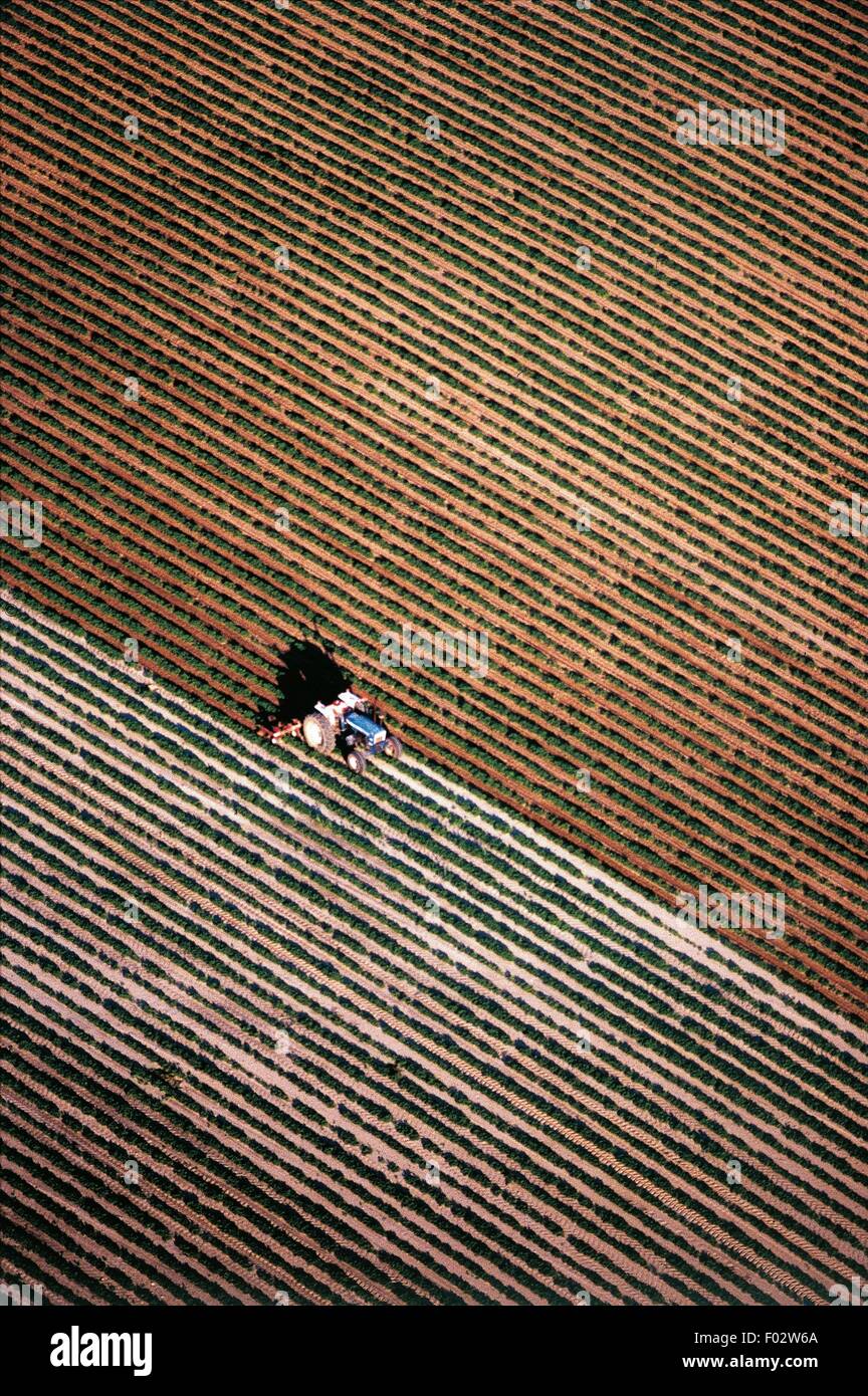 Aerial view of agricultural work, weeding fields in Surry - Virginia ...