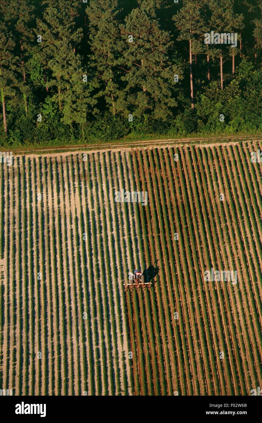 Aerial view of agricultural work, weeding fields in Surry - Virginia ...