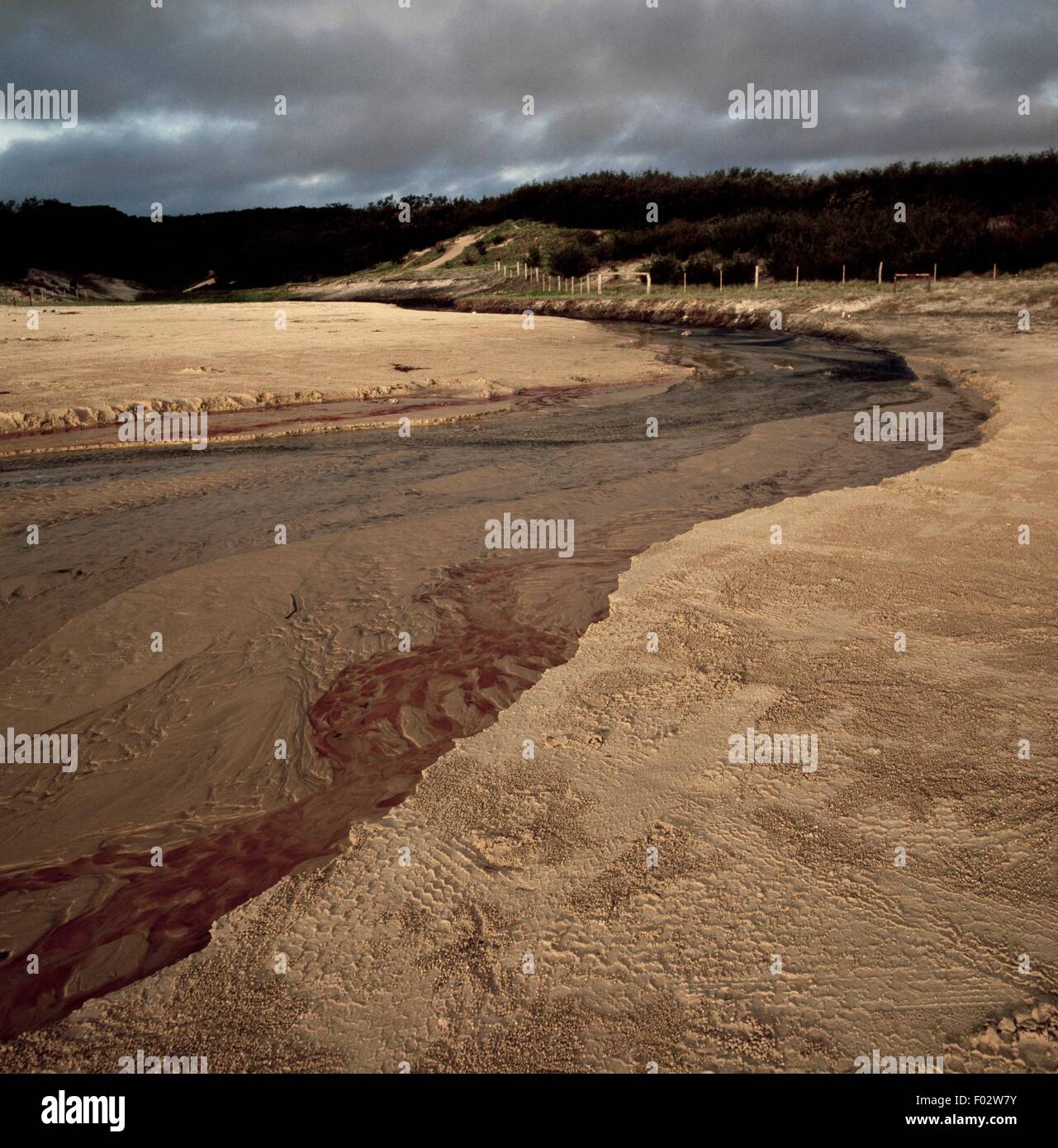 Cooloola hi-res stock photography and images - Alamy