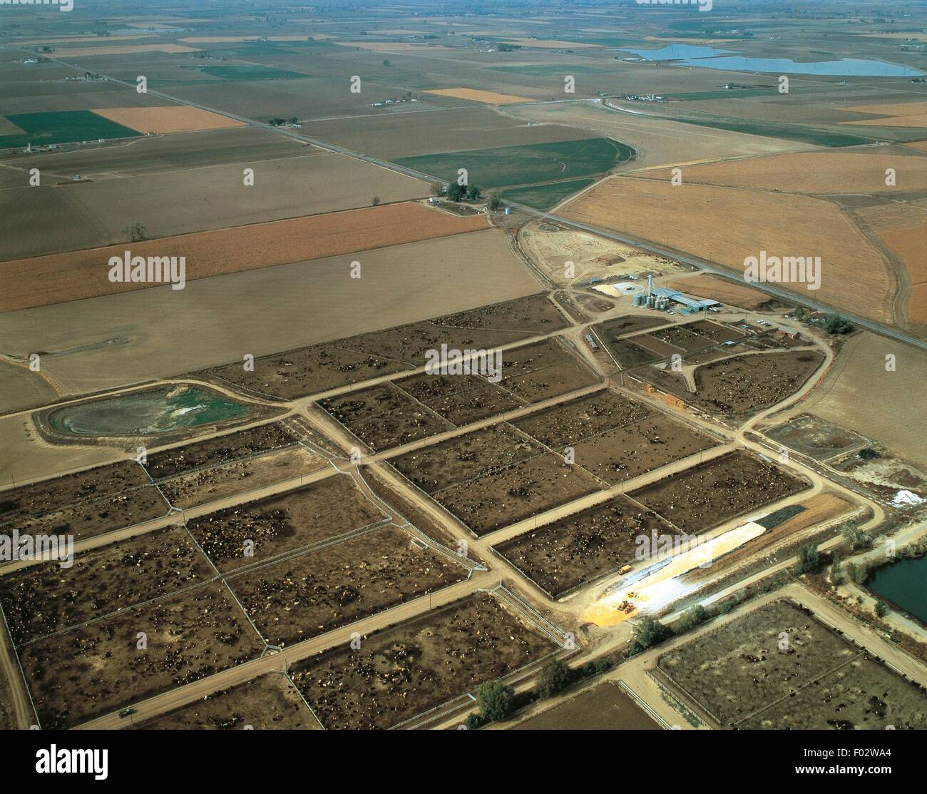 Aerial view of farm and cattle near Denver - Colorado, United States of ...