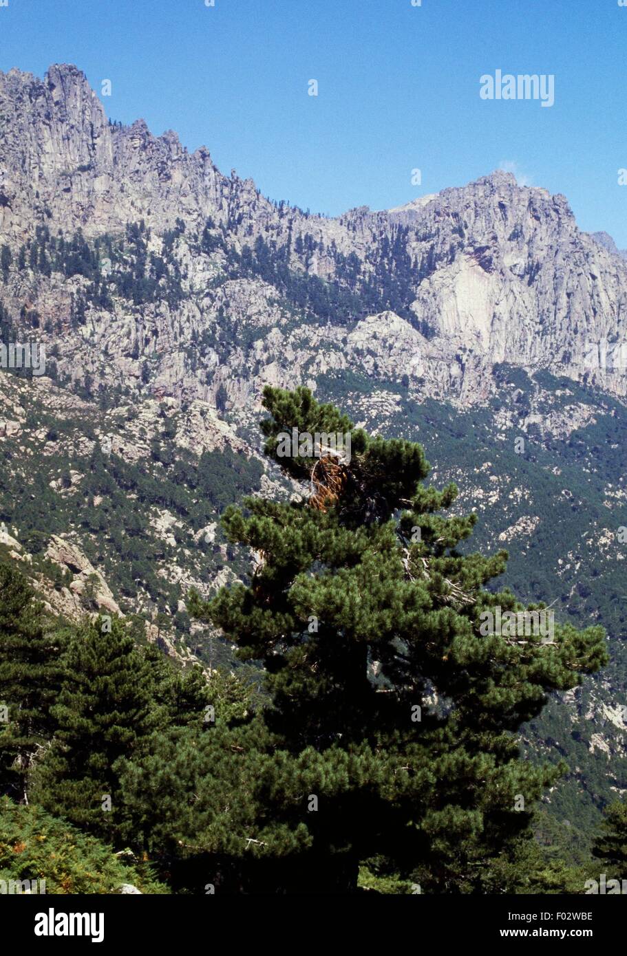 Col de Bavella, Regional Natural Park of Corsica (Parc Naturel Regional ...