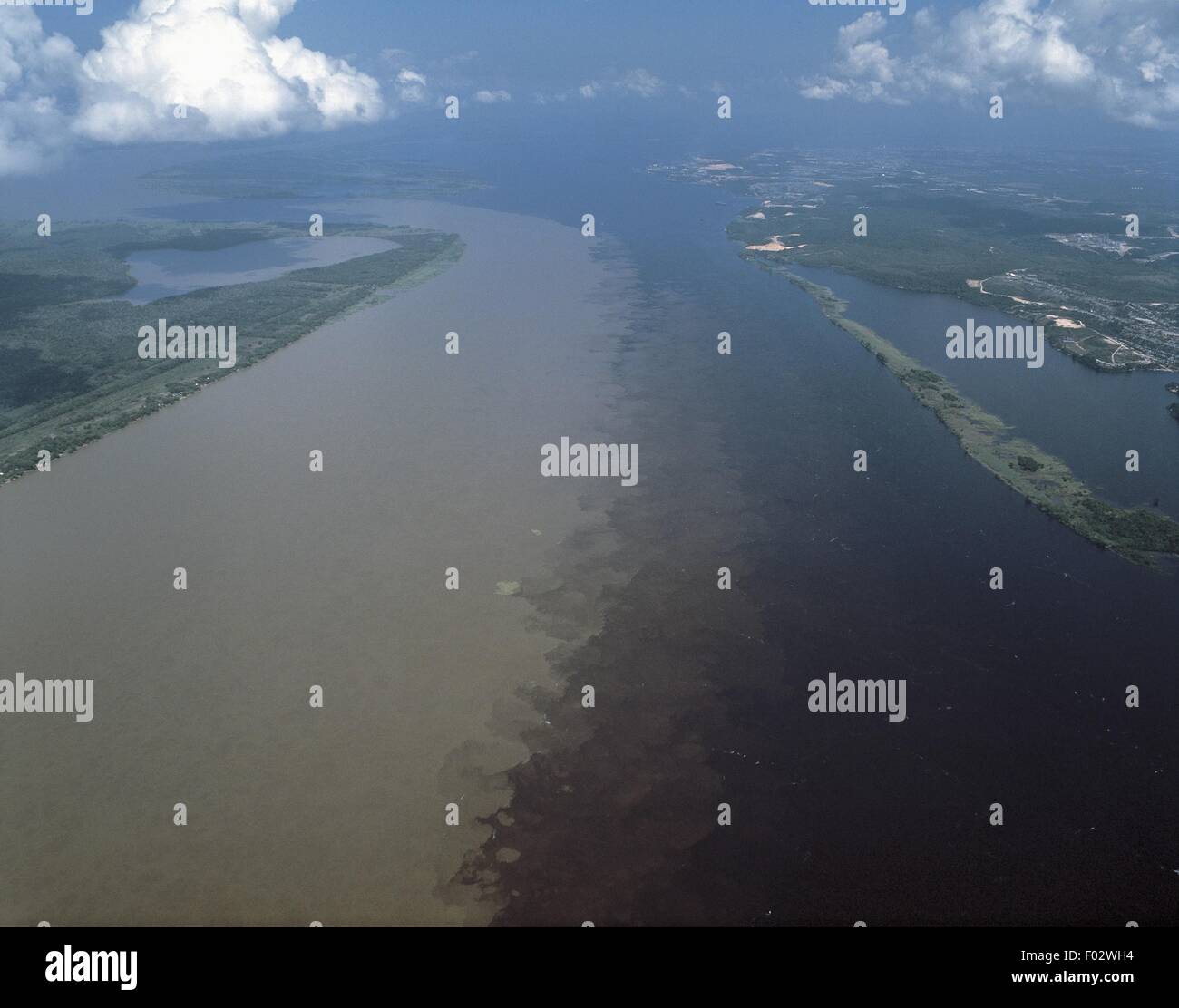 Aerial view of rivers, Amazon River and Negro River, Amazonas, Brazil ...
