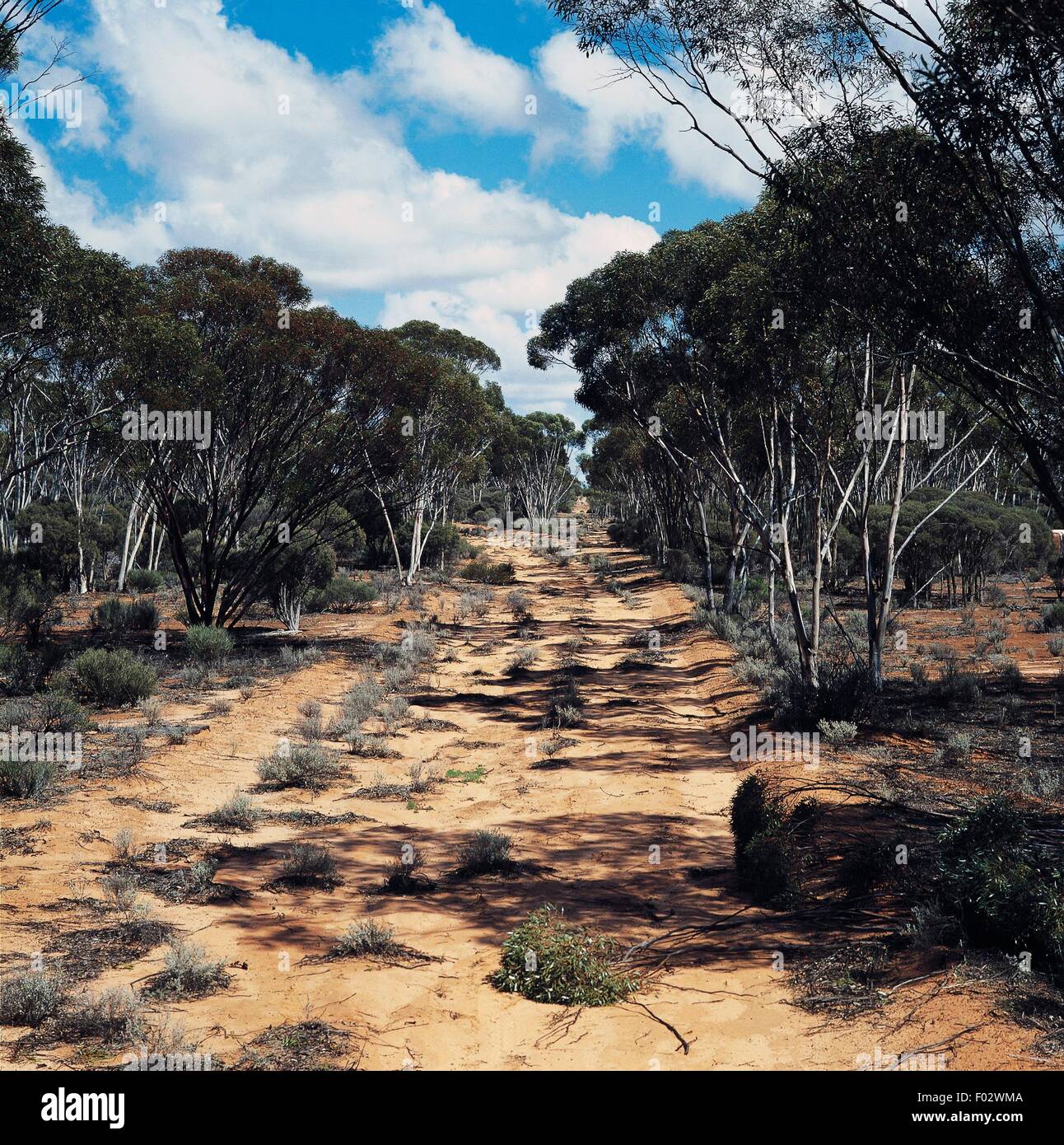 Southern cross western australia hi-res stock photography and images ...