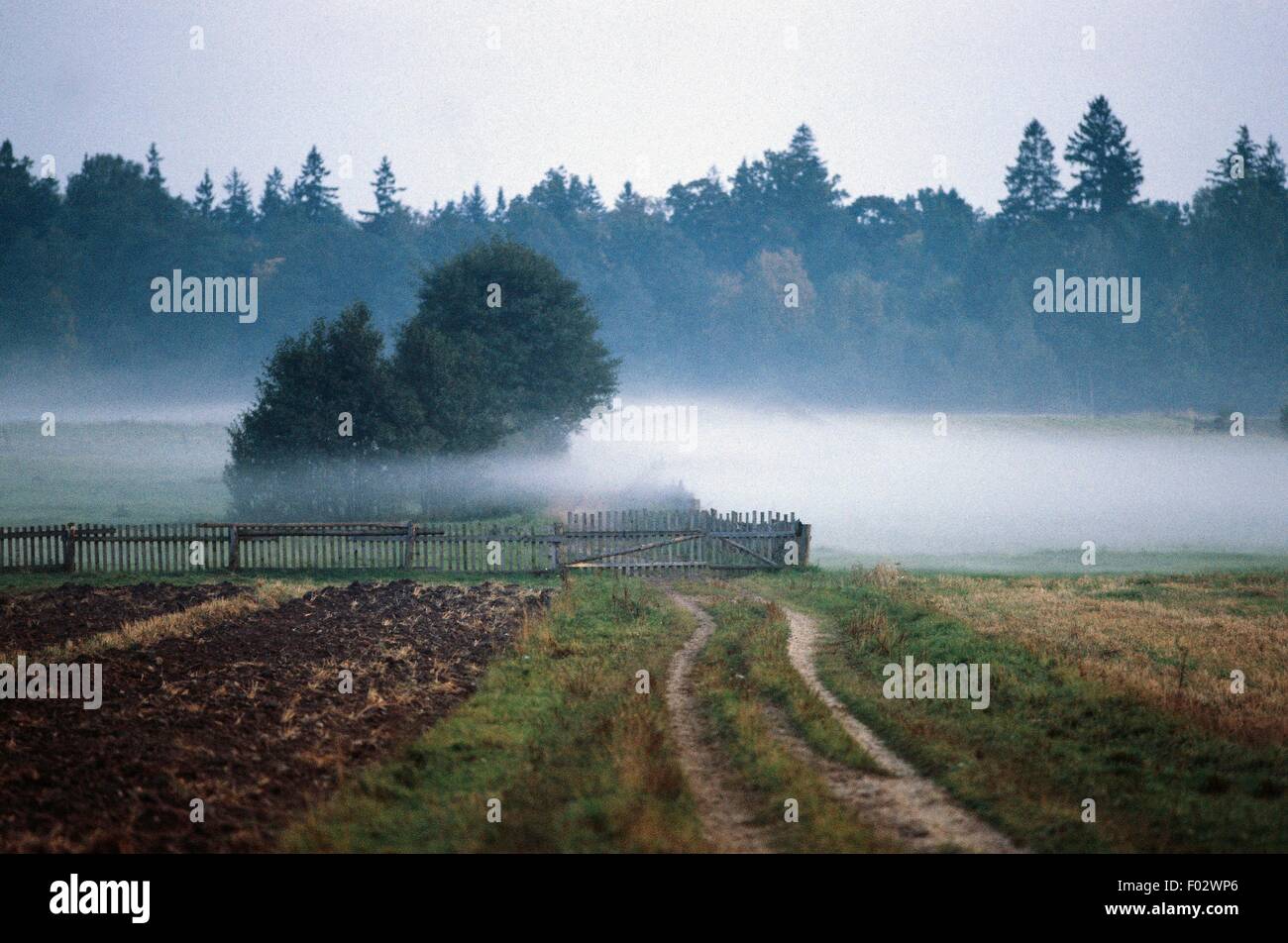 Surroundings of Popielno, Masurian Lakeland, Masurian Landscape Park ...