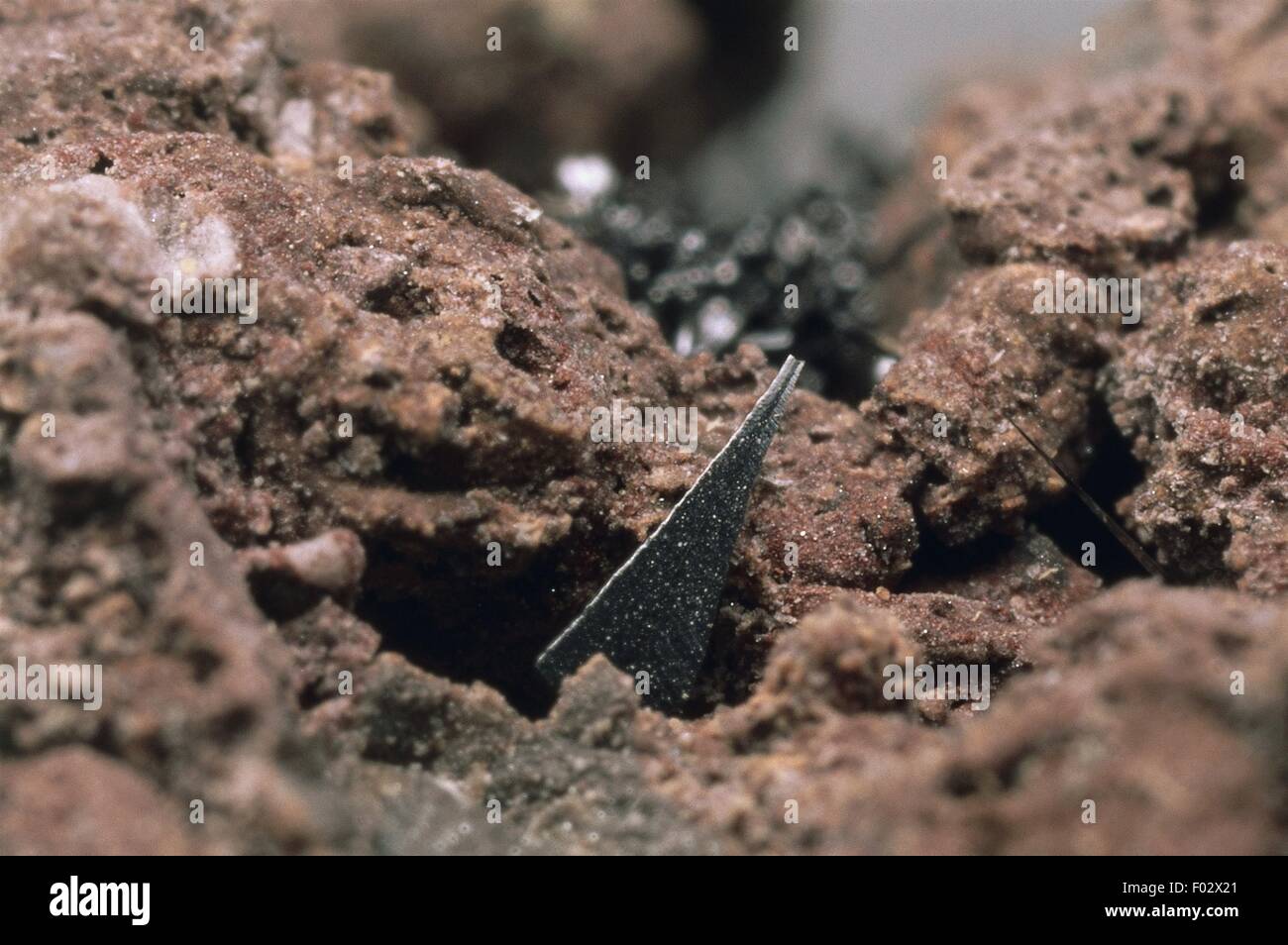 Tenorite hi-res stock photography and images - Alamy
