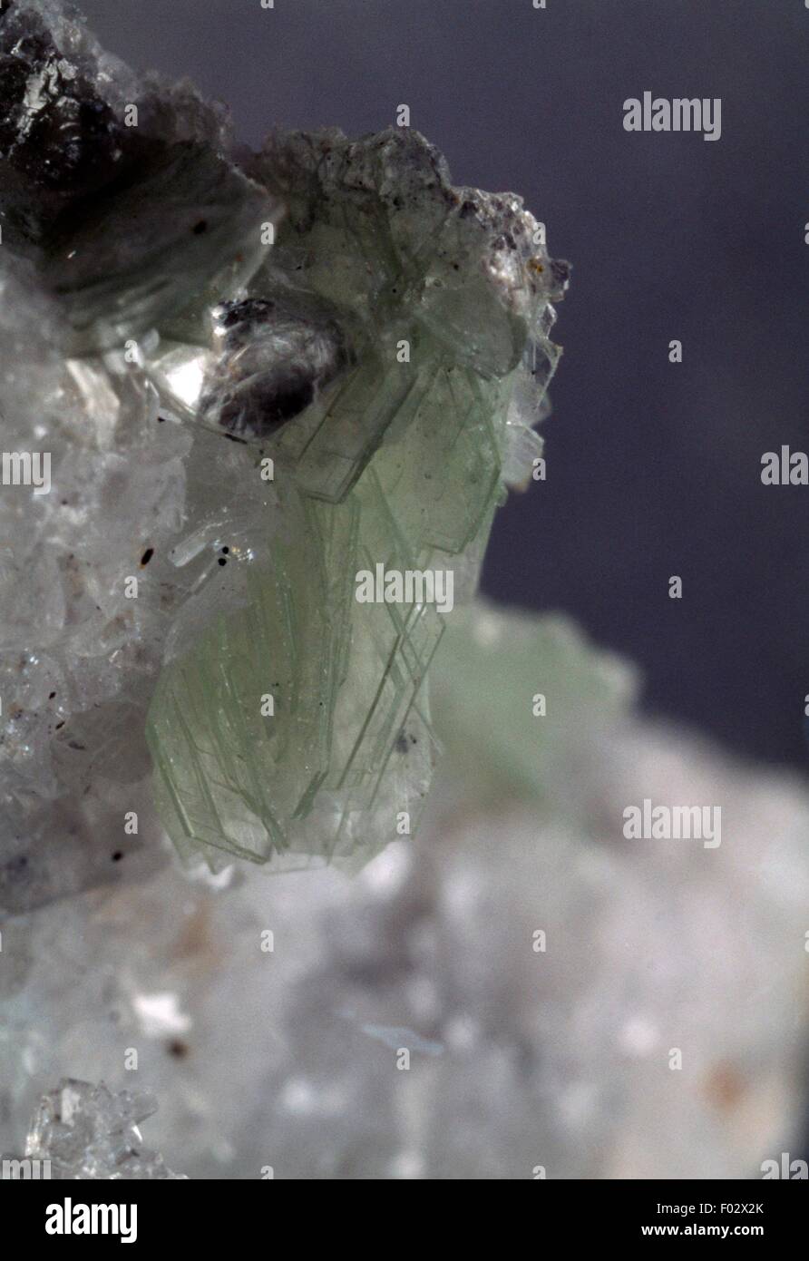 Variety of muscovite hi-res stock photography and images - Alamy