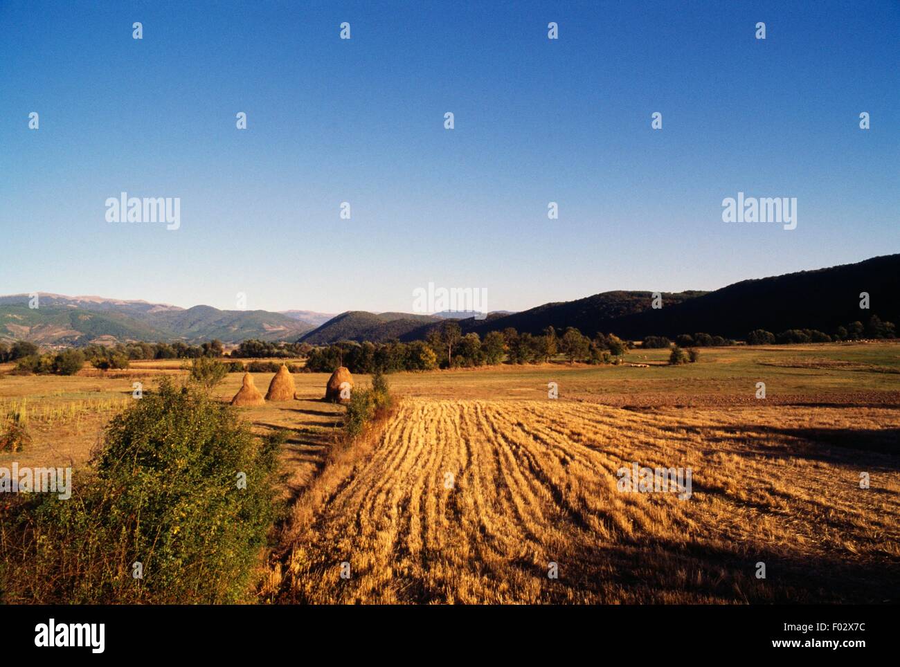 Agricultural landscape, Republic of Macedonia Stock Photo - Alamy