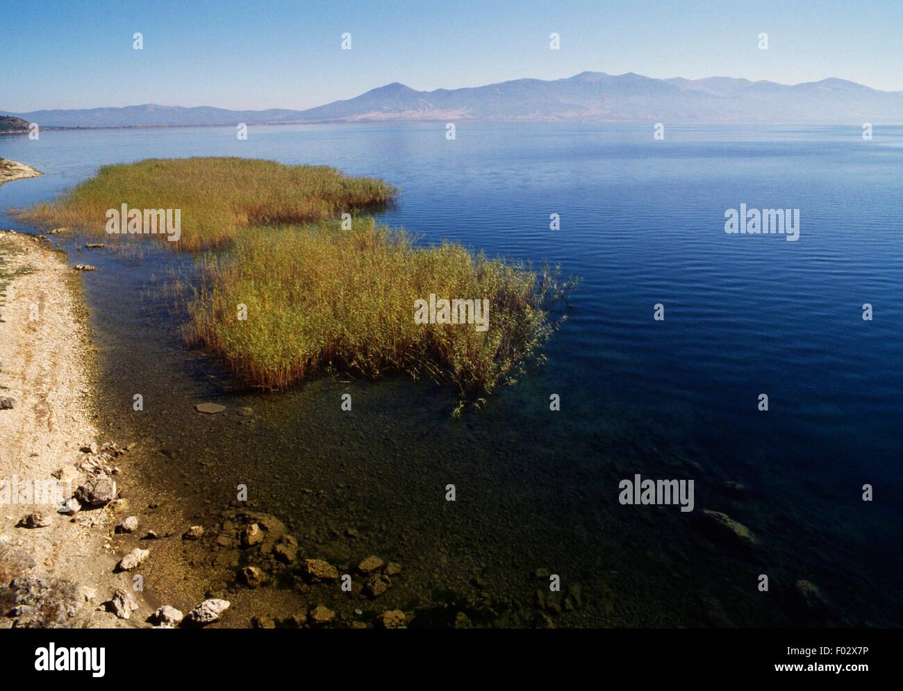 The Great Prespa lake, Macedonia Stock Photo - Alamy