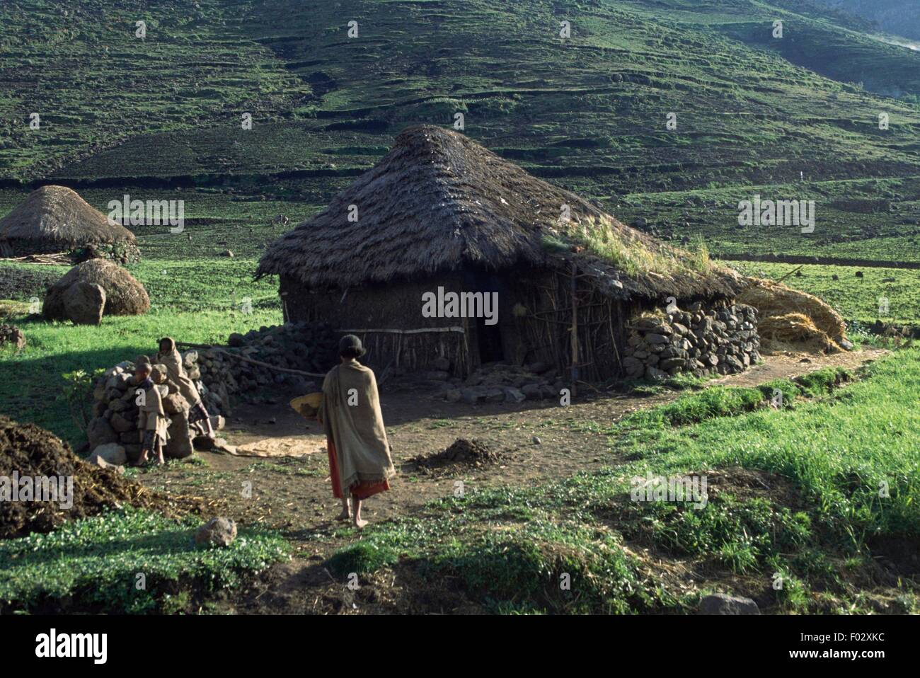 Weldiya hi-res stock photography and images - Alamy