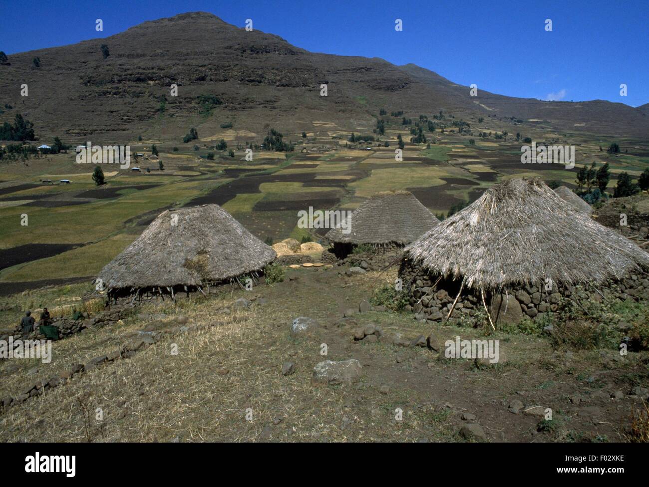 Weldiya hi-res stock photography and images - Alamy