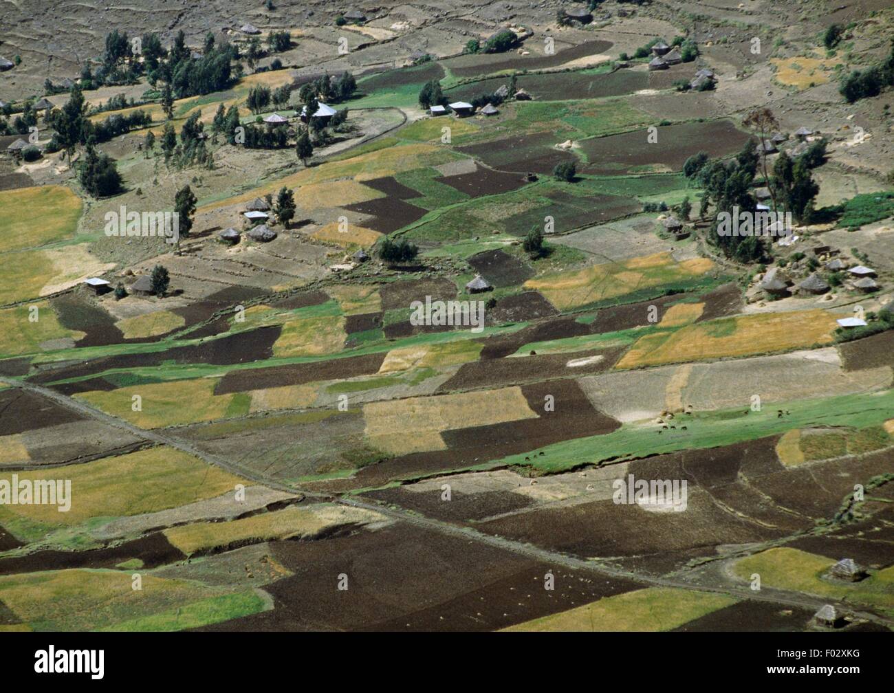 Cultivated fields near Lalibela, Ethiopia Stock Photo - Alamy