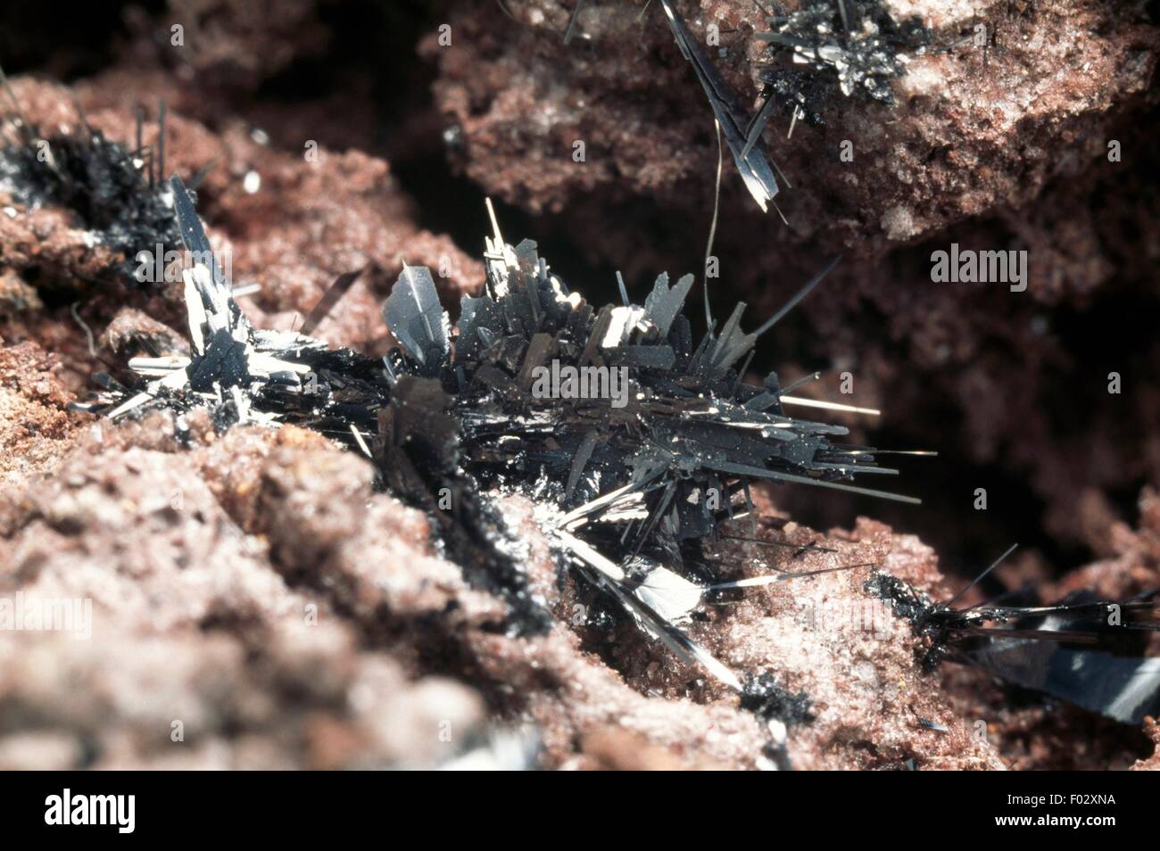 Tenorite hi-res stock photography and images - Alamy